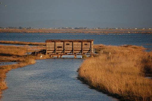 Visita Castiglione della pescaia